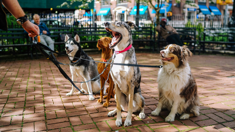 Sit Pretty Goods + Gifts